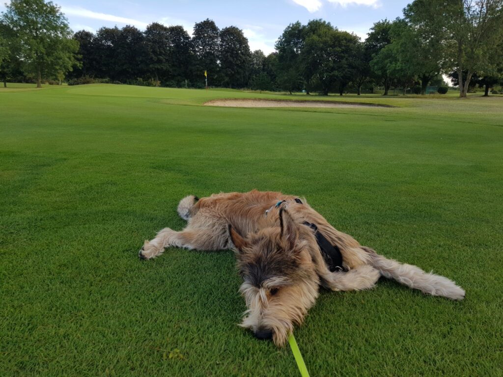 Recommended Walk – Thames Walk – Cookham to Cock Marsh Circular ...