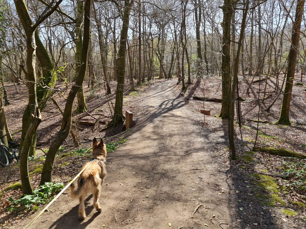 Recommended Walk - Knowl Hill Circular Walk - Earley Family ...